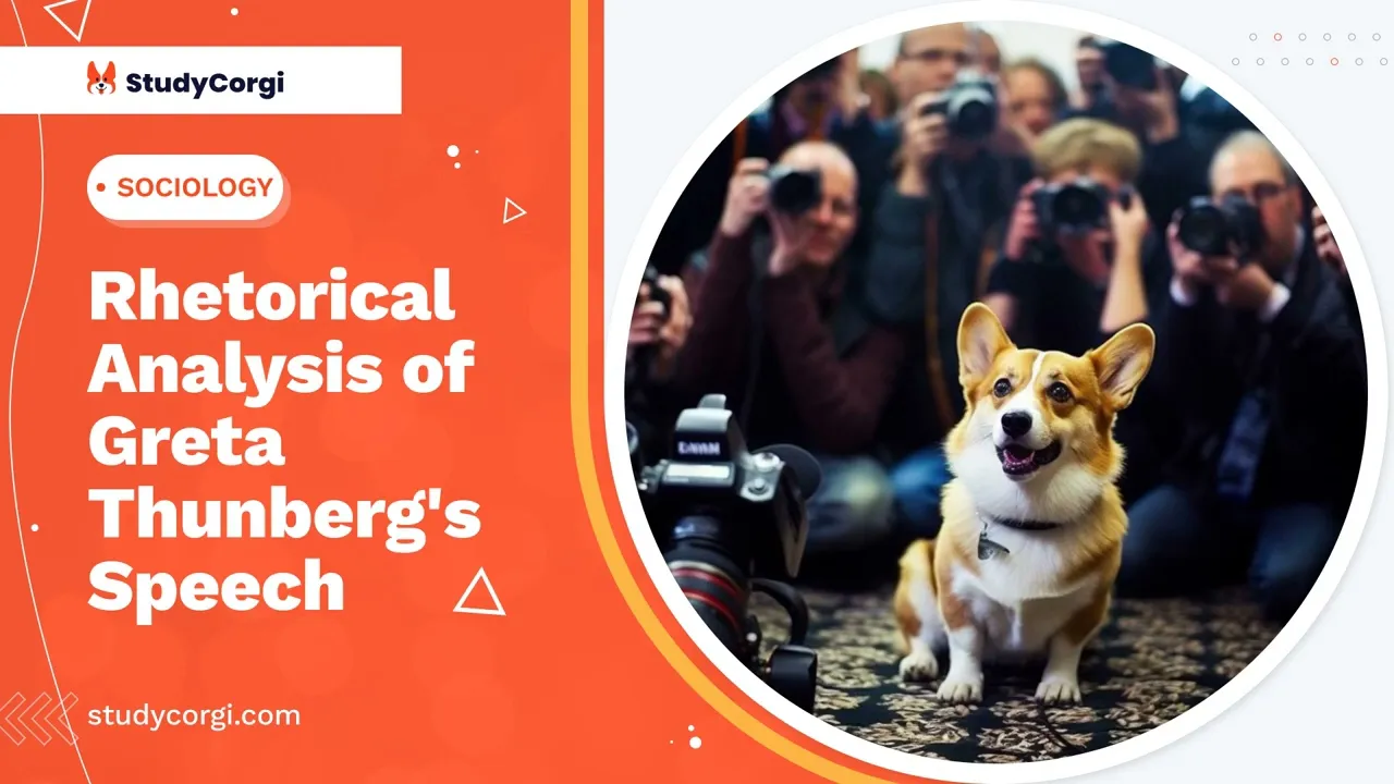 Rhetorical Analysis of Greta Thunberg's Speech | Video Essay Example
